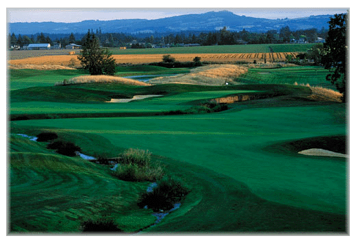 Pumpkin Ridge Portland Golf Package | Southern Breeze Golf Tours